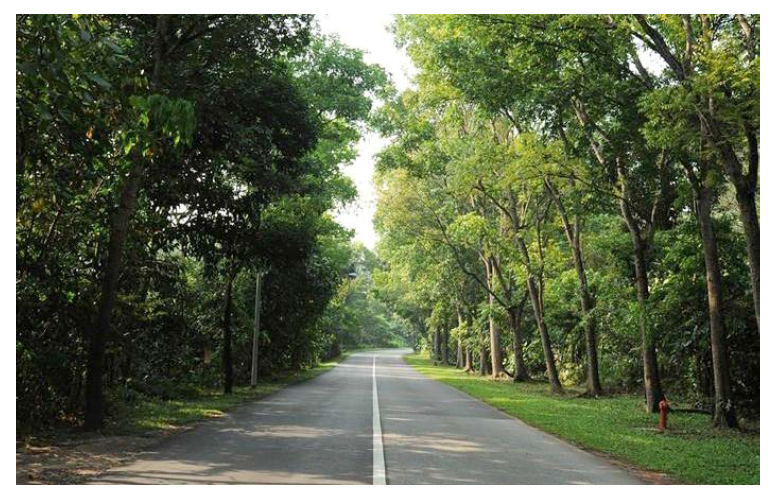 BuiltSearch Code • Greenery Provision