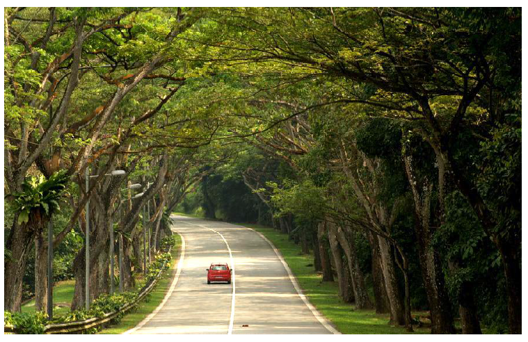 BuiltSearch Code • Greenery Provision