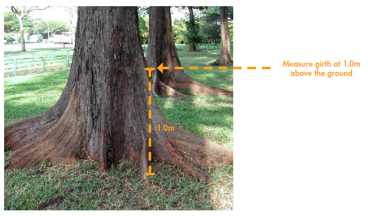 BuiltSearch Code • Greenery Provision