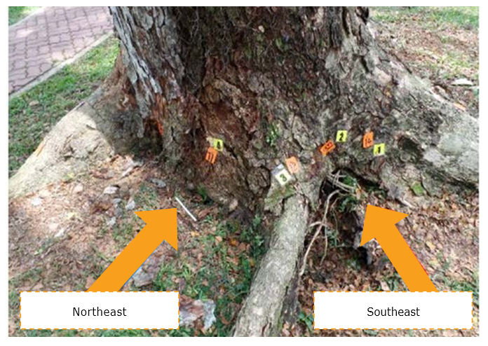 BuiltSearch Code • Greenery Provision