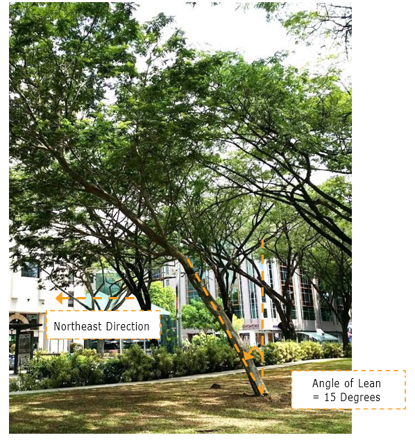 BuiltSearch Code • Greenery Provision