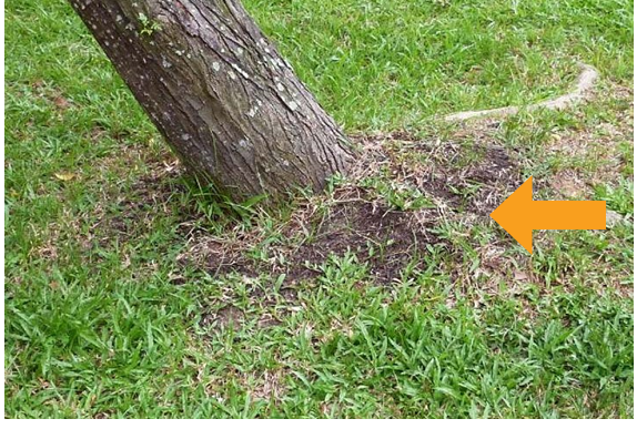 BuiltSearch Code • Greenery Provision