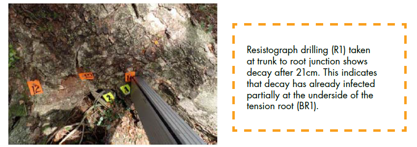 BuiltSearch Code • Greenery Provision