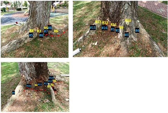 BuiltSearch Code • Greenery Provision