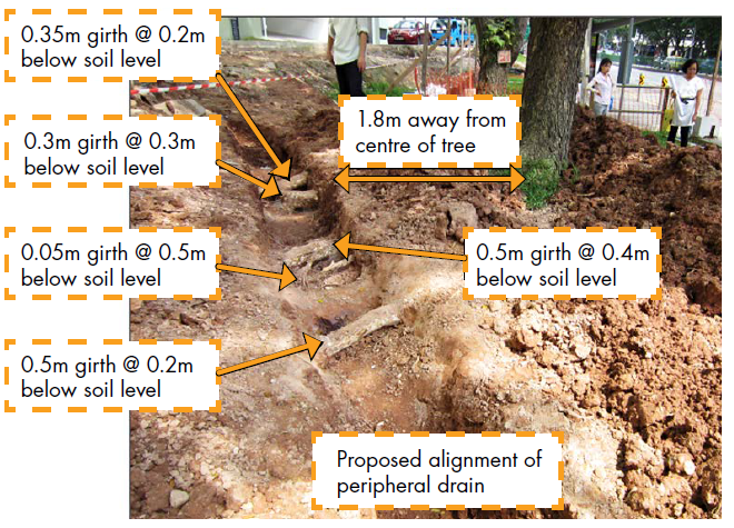 BuiltSearch Code • Greenery Provision