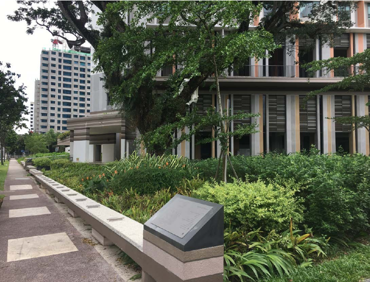 BuiltSearch Code • Greenery Provision