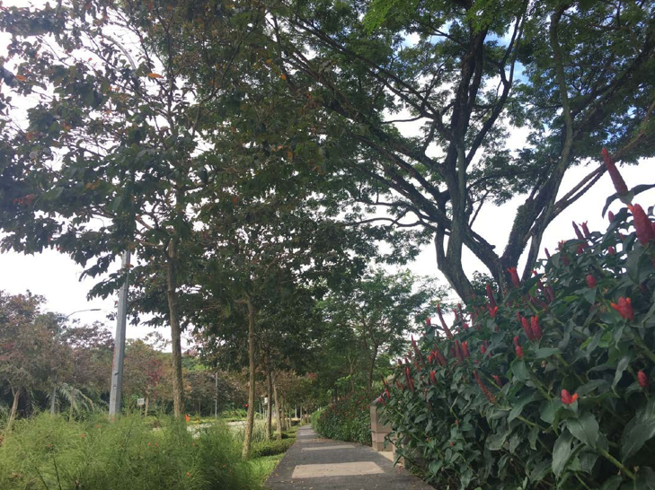 BuiltSearch Code • Greenery Provision